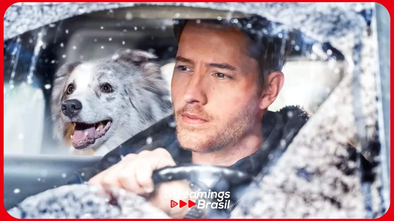 O diário de Noel: A verdade por trás do filme. A história é real?